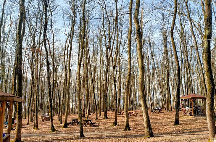 Ormanya Doğal Yaşam Parkı | Ormanya Hobbit Evleri