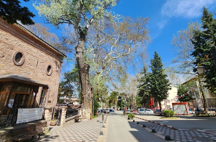 Söğüt Gezi Rehberi | Söğüt’te Gezilecek Yerler